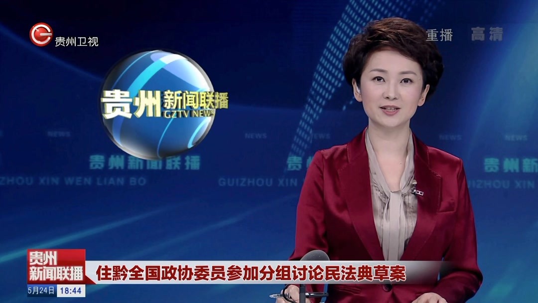 住黔全国政协委员参加分组讨论民法典草案