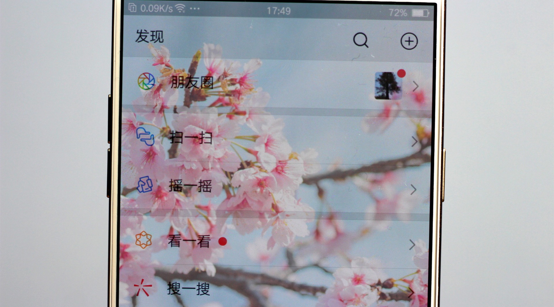 QQ微信“樱花”特效,半透明樱花动态效果超好看,教你一键设置