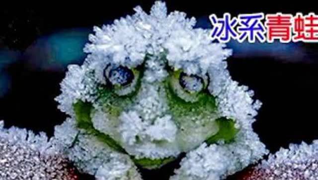 【UMA档案】能够在冰块中快速移动的怪虫 连科学家都无法解释