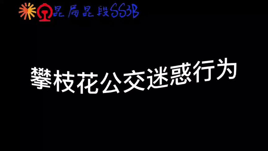 #公交车 #攀枝花公交迷惑行为 视频纯属娱乐