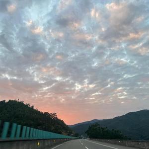 高富帅de高 