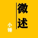 小锤微述 
