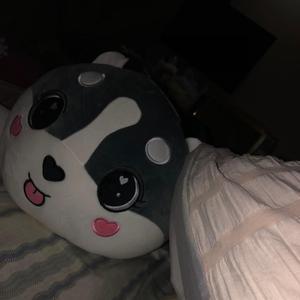 周末美剧 