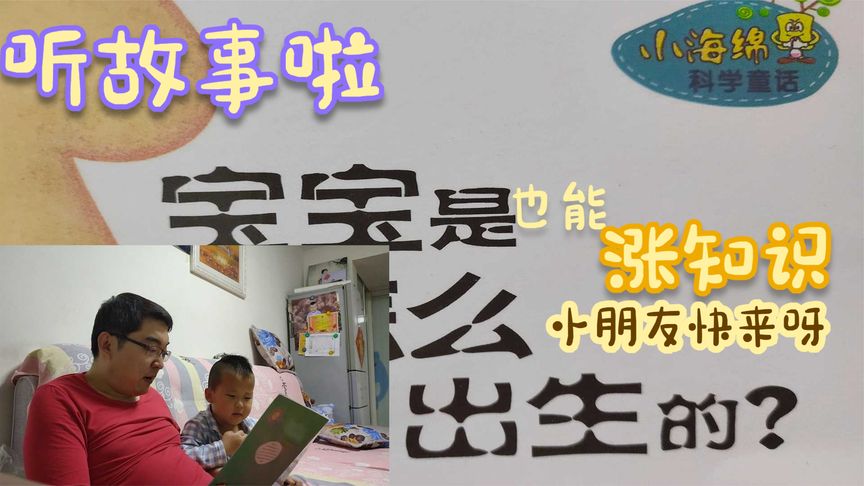 宝宝是怎么出生的 小海绵科学绘本 宝爸讲故事 益智有趣好玩
