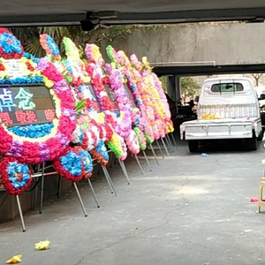 一直在奋斗的小强 