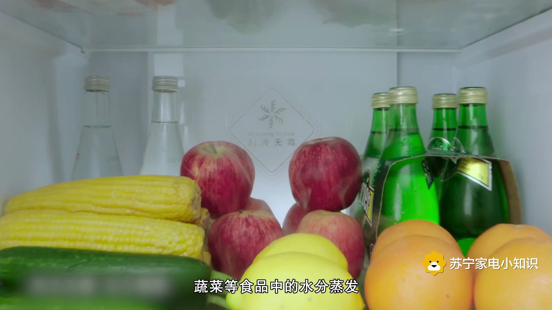 第013期:冰箱内壁结霜水汽从那里来《苏宁家电小知识》