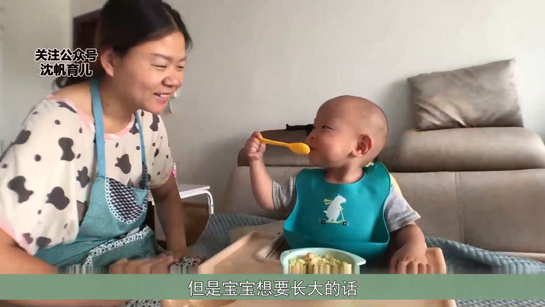 8个月宝宝的辅食大全 婴儿10个月辅食食谱图 沈帆育儿