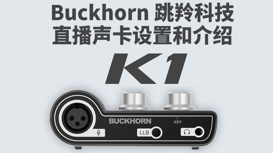 Buckhorn跳羚K1声卡介绍和使用介绍驱动讲解和通道设置教程