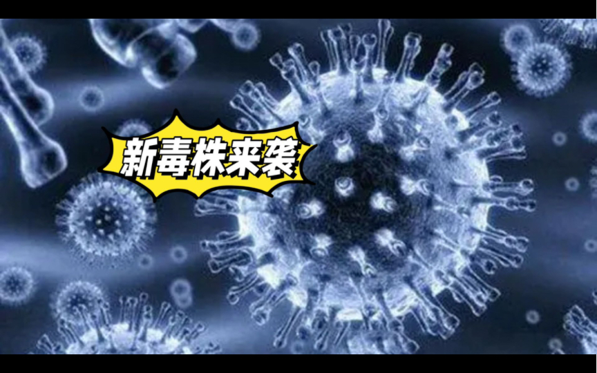 新毒株来袭多地出现抗原阳性,二次感染要来?五一会成为感染高峰吗?