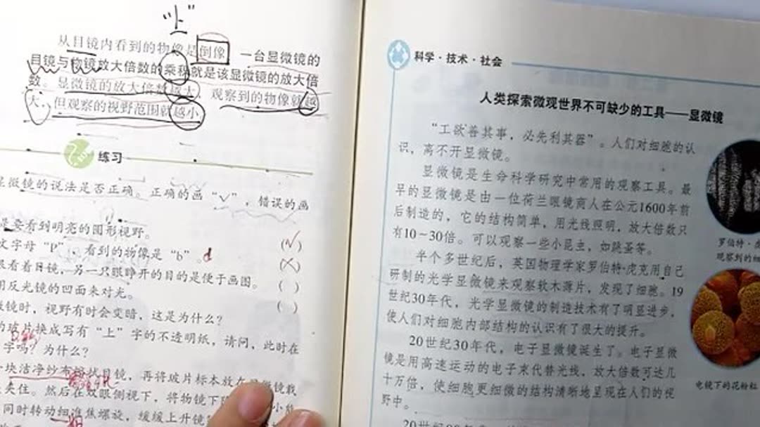 6七年级上册生物 第二单元第一章第一节练习使用显微镜