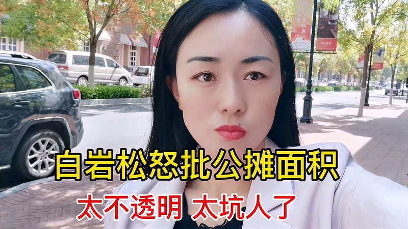 白岩松怒批公摊面积,建议取消公摊面积按套内面积出售,你支持吗