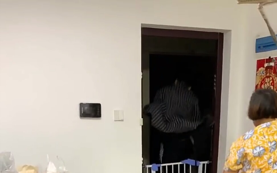 跨栏高手早期训练视频合集