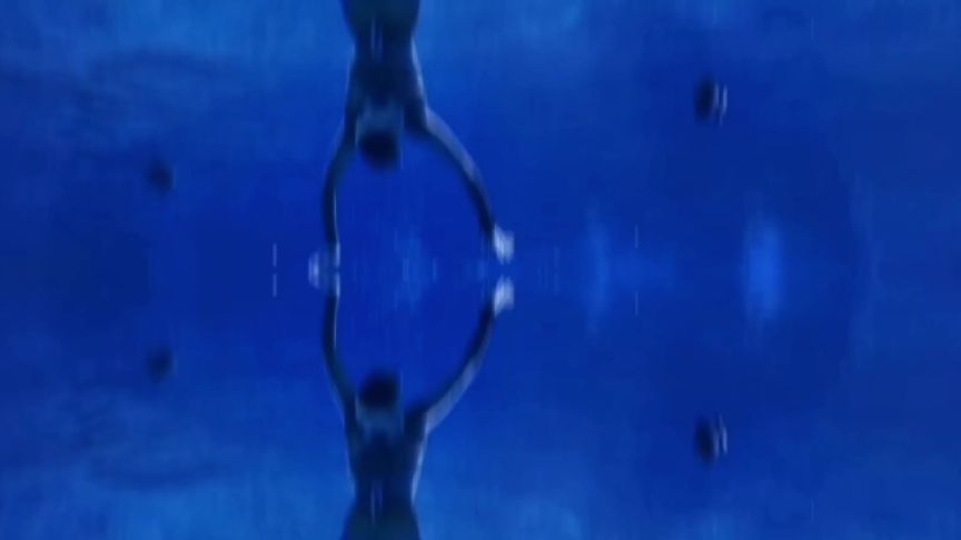 #美人鱼 “我要记住你的样子,像鱼记住水的拥抱～”海世界