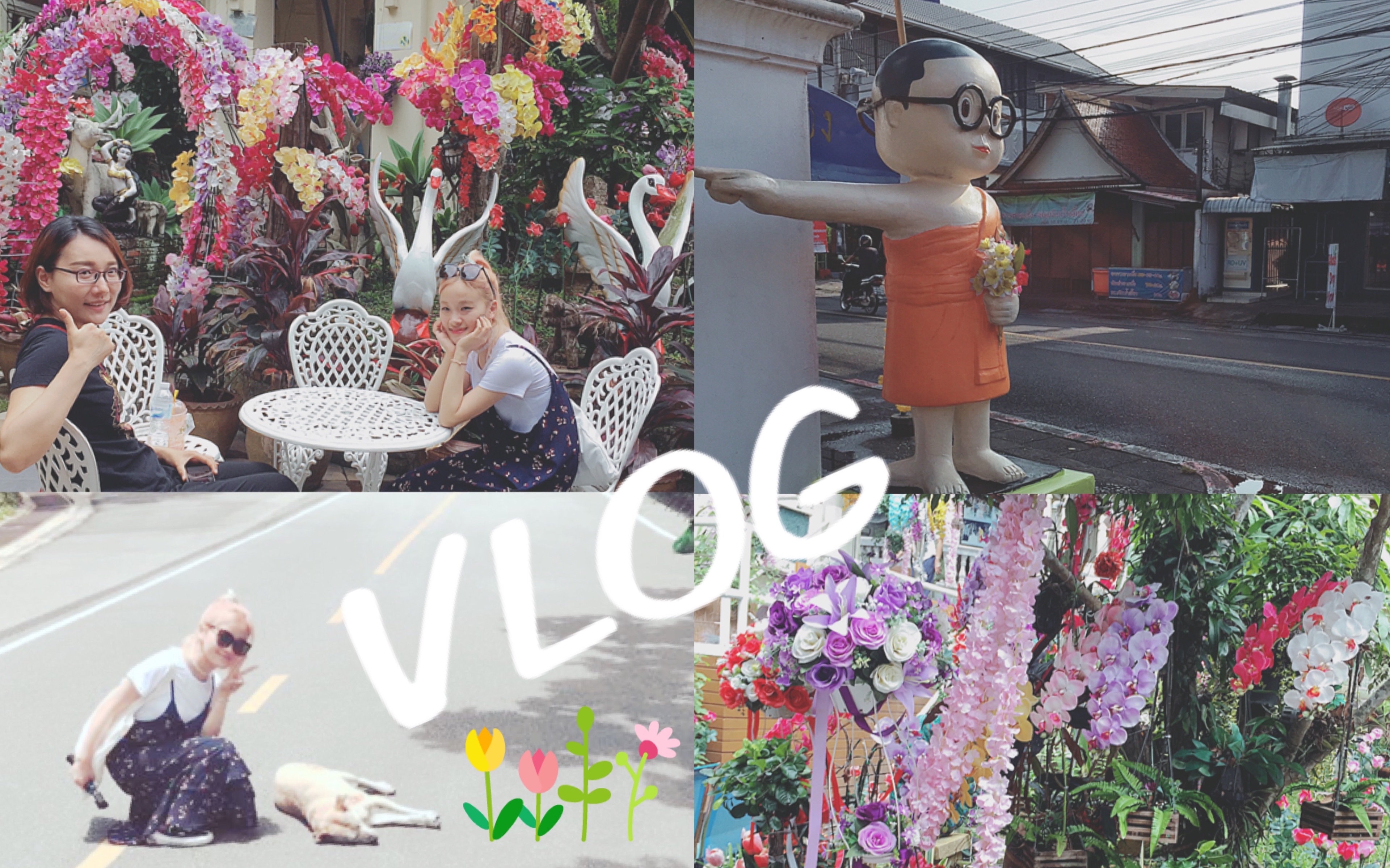 VLOG|旅行~~和美少女一起游泰国|清迈篇~