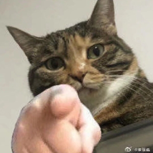 小堃不想要起床 