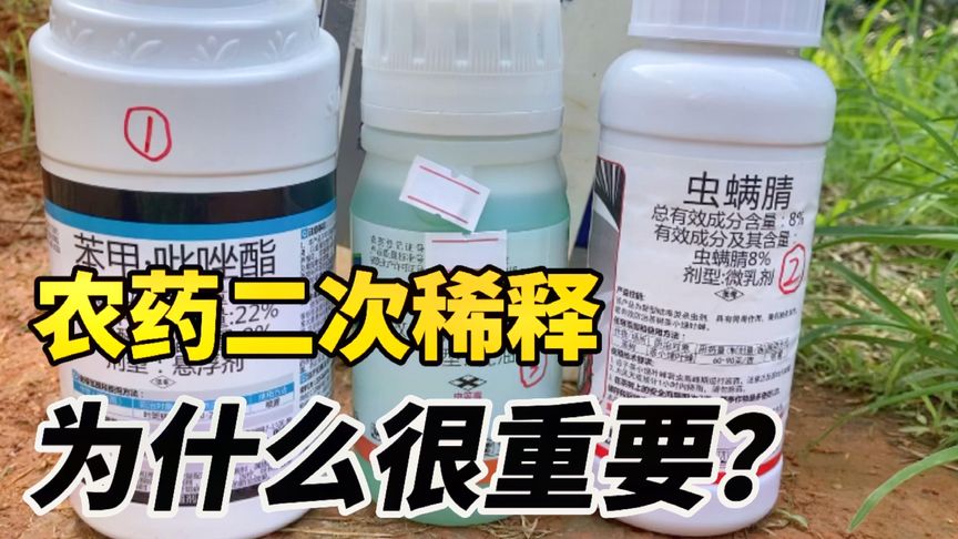 为什么说农药二次稀释很重要?如何正确二次稀释农药
