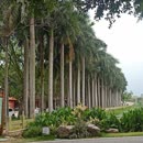 梦成ߙ�ߙ�ߐ�ߐ�ߐ 