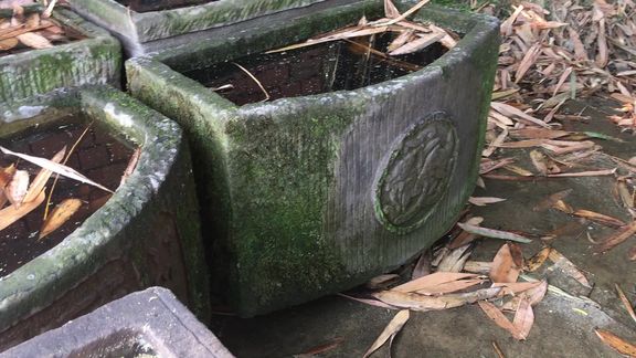 诚信真的很重要!