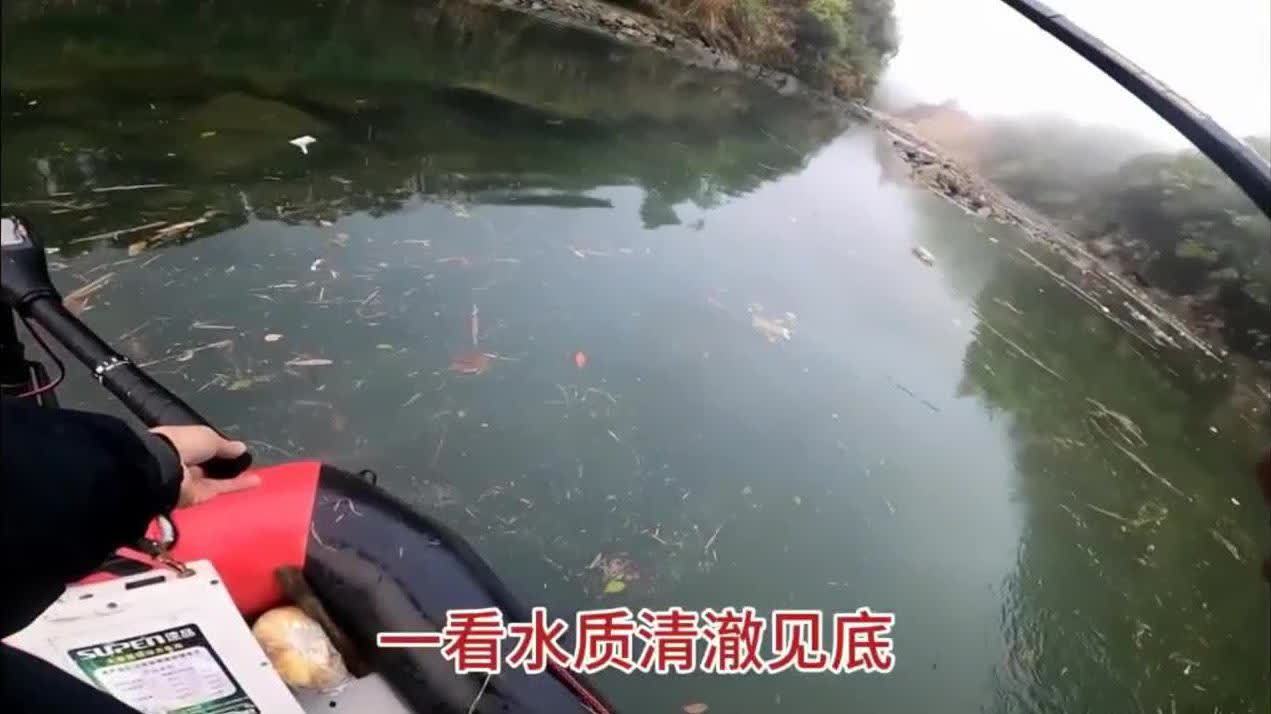 小伙子钓鳜鱼抓标点一抓一个准周末给你减减压