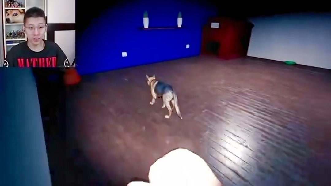 这个游戏猜到了我是谁!调查模拟器,鲤鱼Ace解说