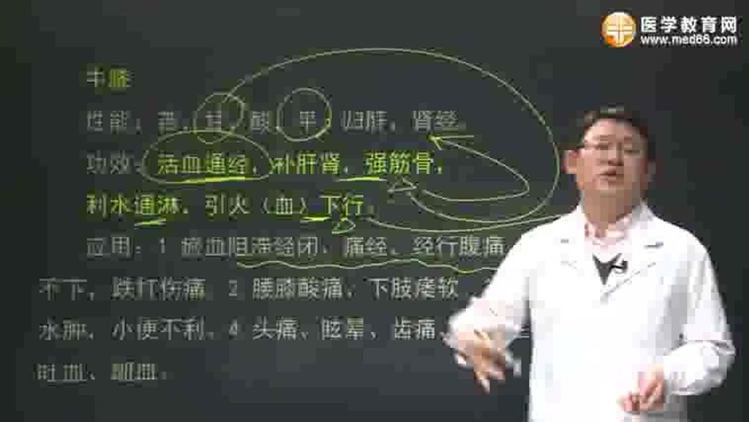 2016年2015主管中药师 专业知识 考试 视频 jczs1151