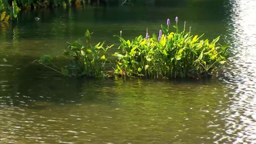 3小时放松音乐:还能冲动,表示你还对生活有激情