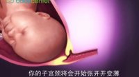 宝宝是如何出生的视频-转载