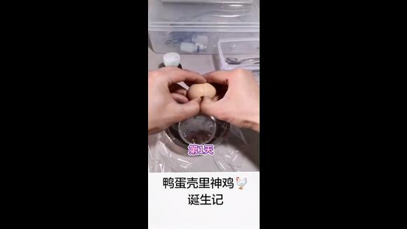 神奇的生命就这样诞生了