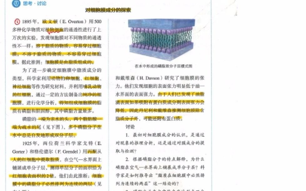 细胞膜的结构和功能