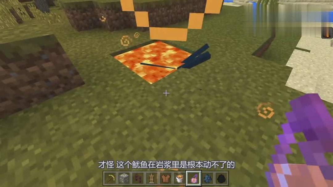 我的世界, 你不知道的6件事,栅栏地毯天造地设