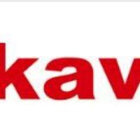 kav凯威智能家居五金 