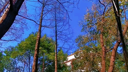 ...花园住宅项目就处在开纳公寓的花园南侧宗地面积770平建筑面积约...