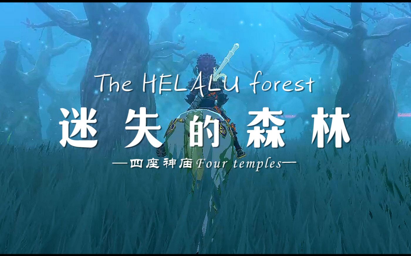 【海拉鲁大森林】迷失的森林(我在海拉鲁拍的纪录片)
