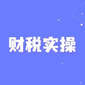 易过财税实操 