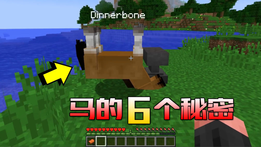 我的世界:马的6个秘密,这一个命名牌下去,反了!