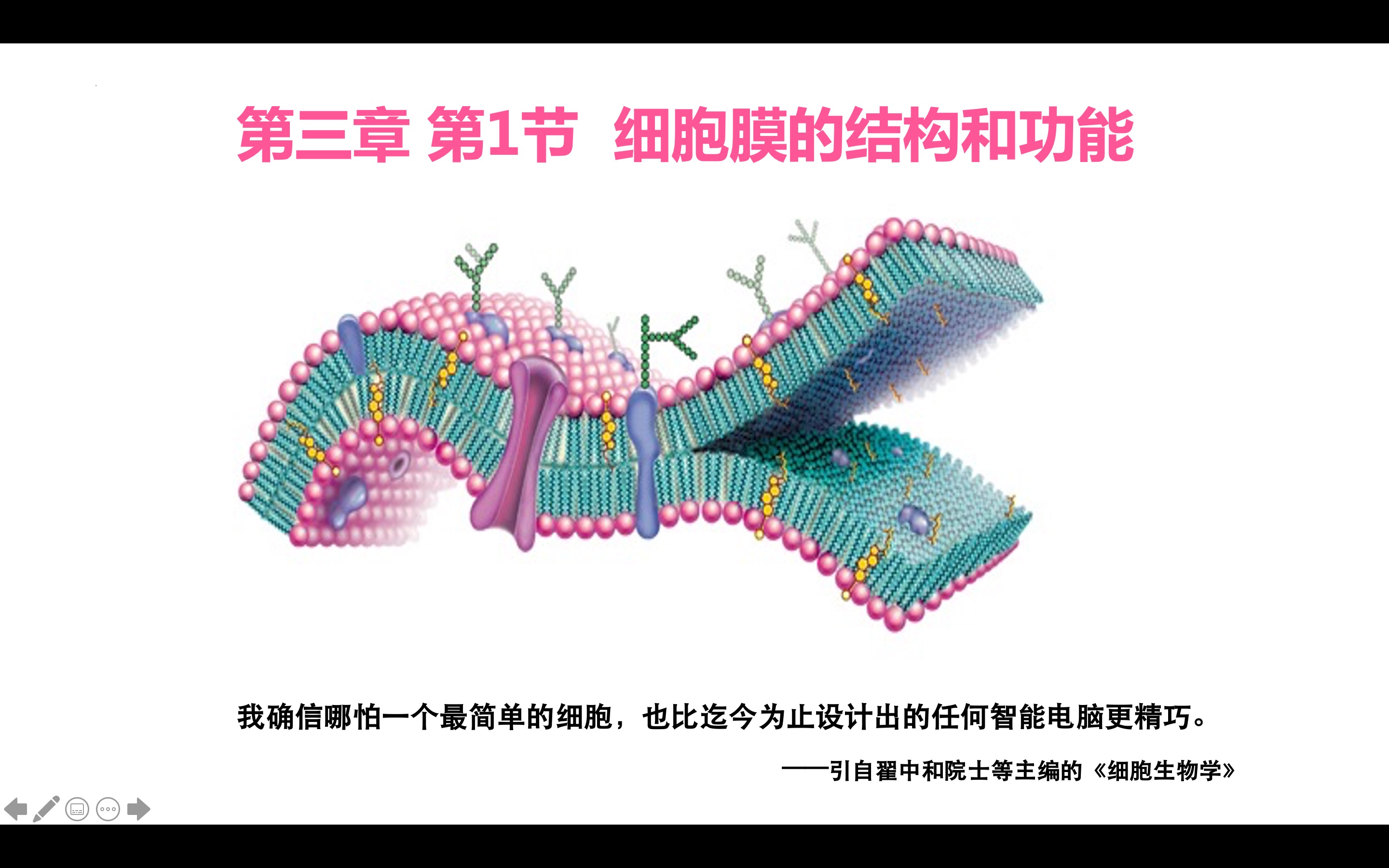 2019人教版细胞膜的结构和功能