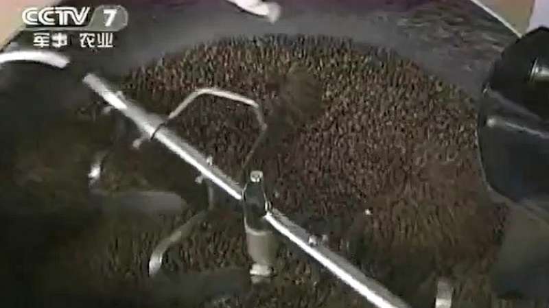 你知道从咖啡果到一杯咖啡经过的吗?攀枝花种植园里咖啡精制过程