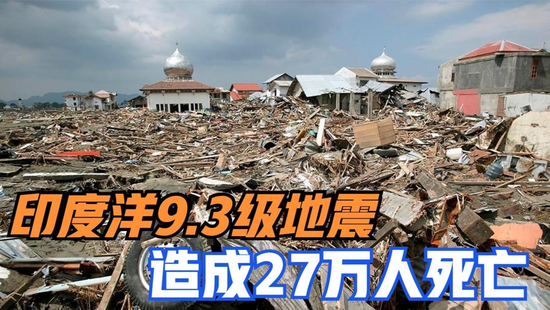 印度洋9.3级地震,引发百年不遇大海啸,导致27万人死亡,纪录片