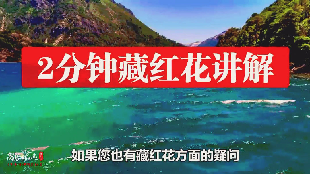 藏红花的功效与作用及食用方法,藏红花的功效与作用与禁忌女