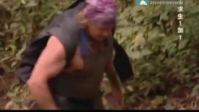 野外求生如何用一小块电池辨别方向