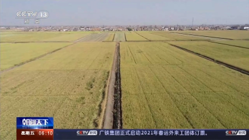 [朝闻天下]农业农村部 今年8000万亩高标准农田建设任务将完成