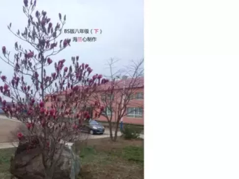 二一元一次不等式与一元一次不等式组: 5一元一次不等式与一次函数(2)2