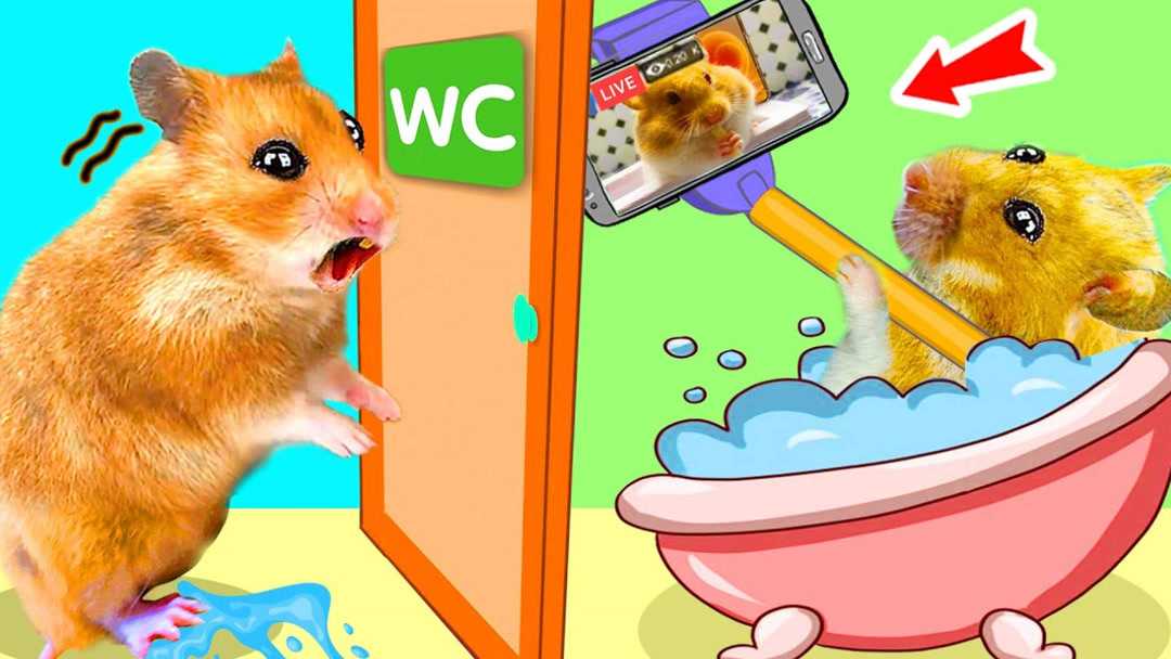 仓鼠想去厕所,但是厕所正在被使用,它快憋不住了!