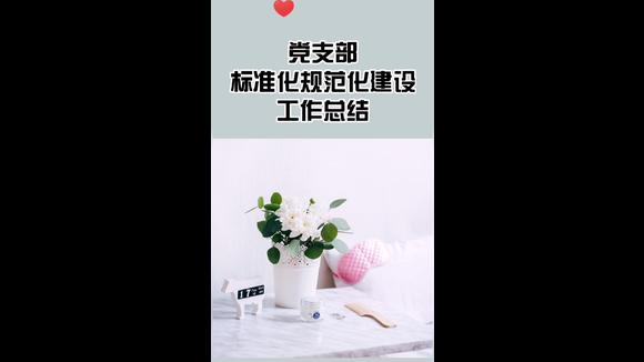 党支部标准化规范化建设工作总结
