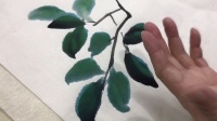 国画桂花白头翁