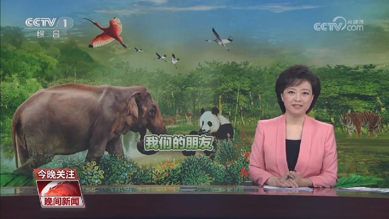 [视频]保护生物多样性 爱护我们的朋友