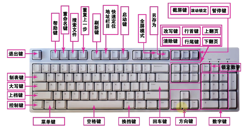 电脑表格入门培训,认识键盘,Word文档和excel表格教程