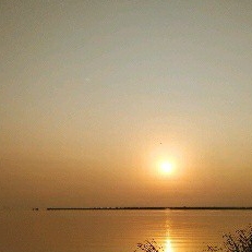 跟吕老师学文化 