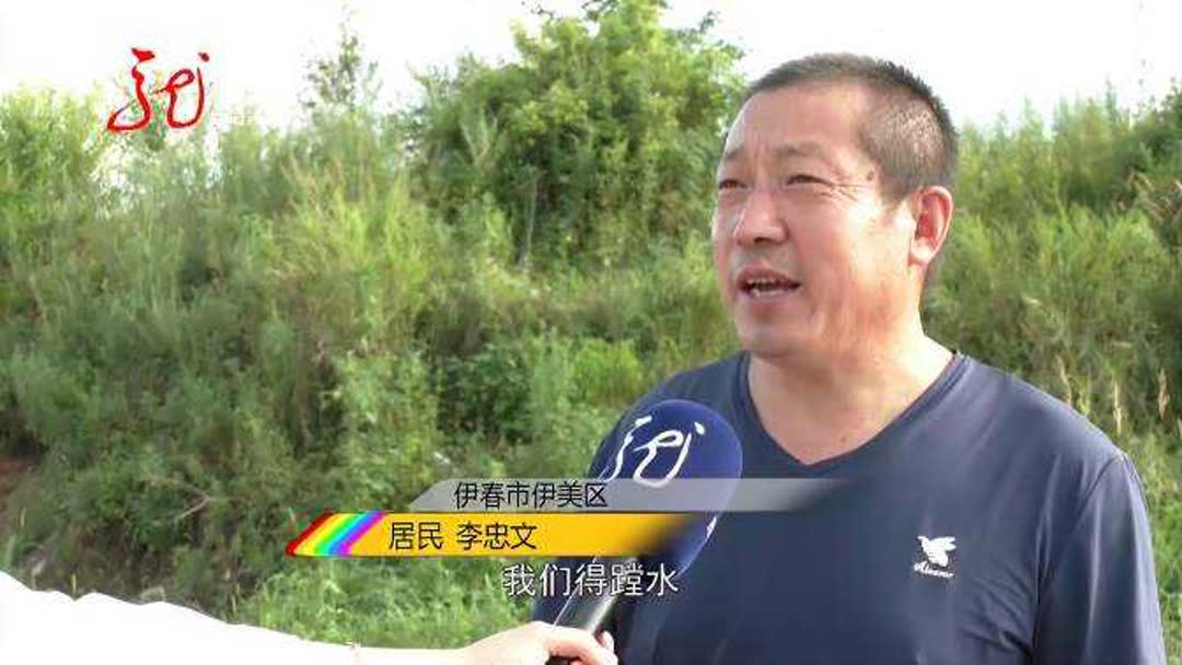 「我为群众办实事」小桥常入"河怀抱" 重建便桥解民忧