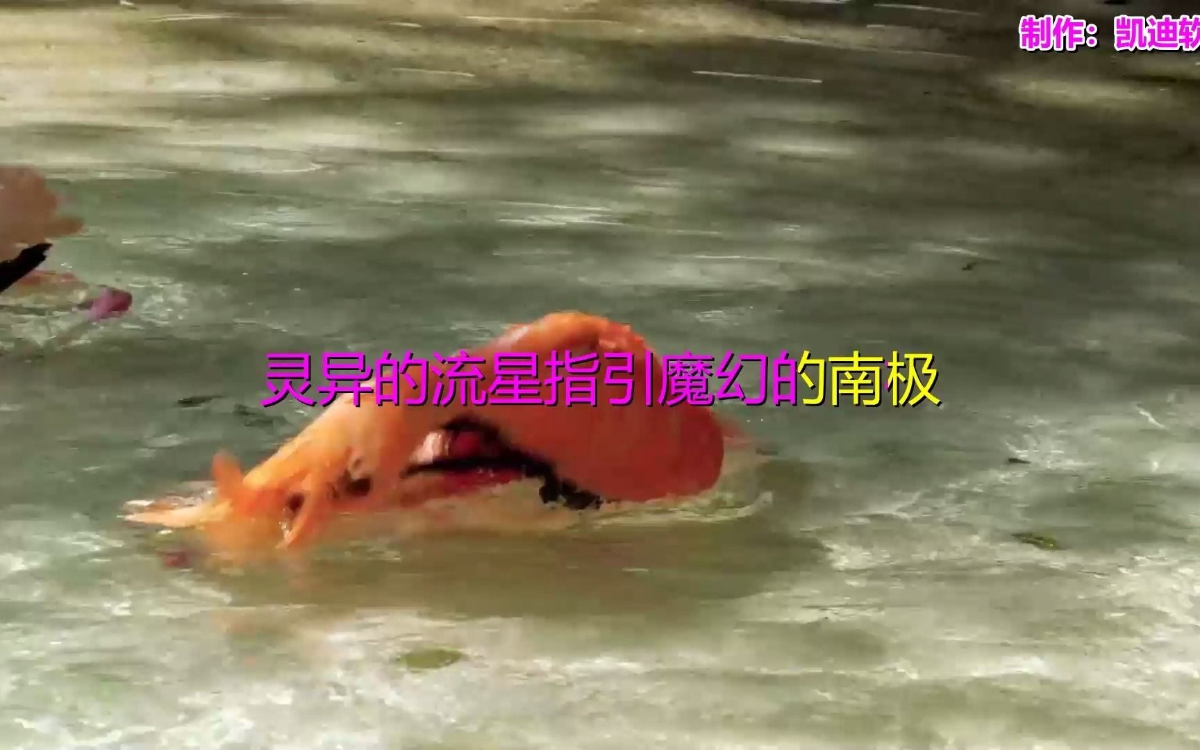 《未知的旅程》经典歌曲,怎样给全民k歌制作mv